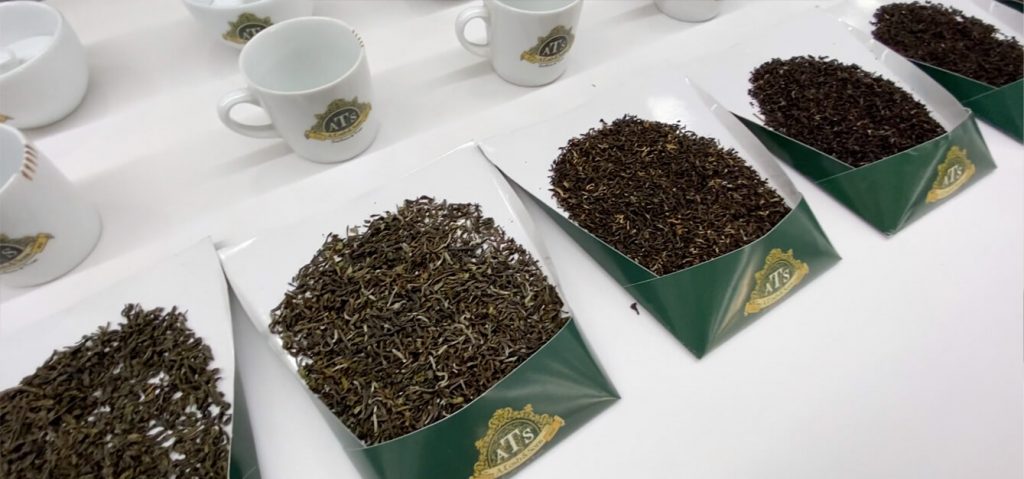 How do we Taste our Teas? by Abhijit Ghosh, Director at A.Tosh & Sons ...